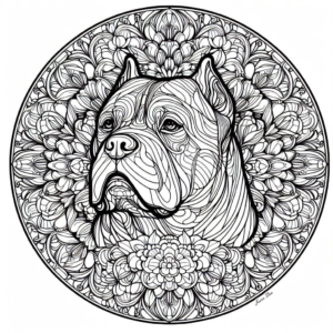 Coloring Pages – From My Imagination To Yours – AmericanBully.Pro